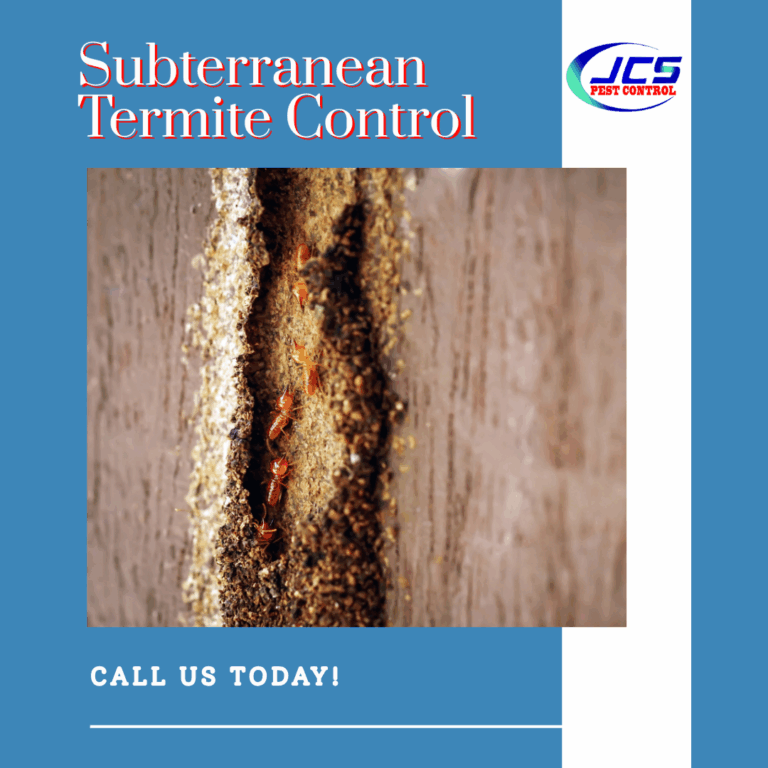 How to Protect Villas from Subterranean Termites?