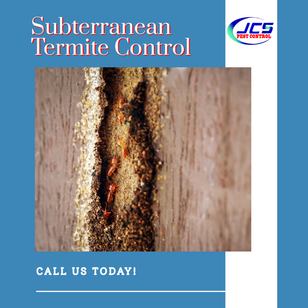 How to Protect Villas from Subterranean Termites?